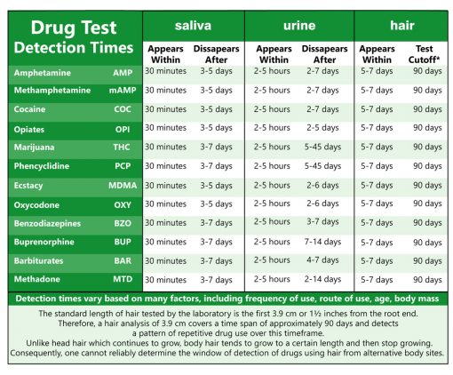 All About Hair Drug Testing: how it works and what to expect - Macujo