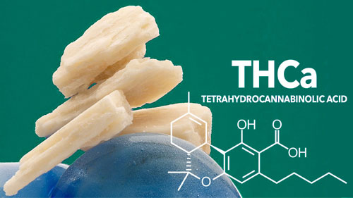 How Long Does Tetrahydrocannabinol (THC) Stay in the System - Macujo
